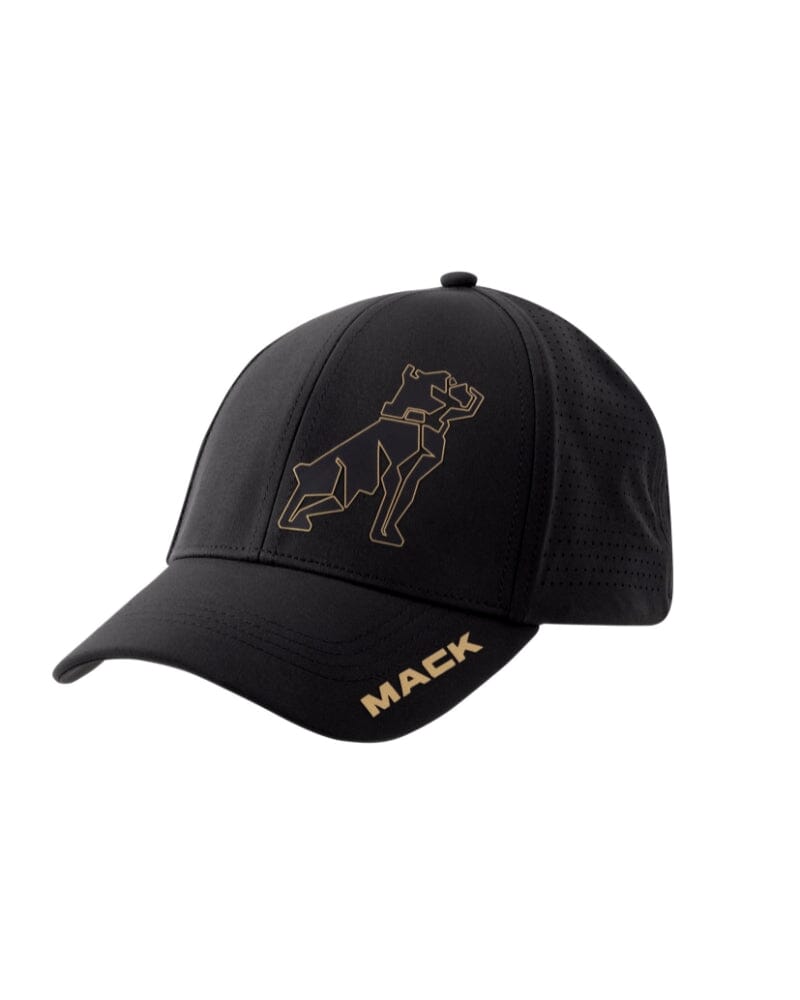 Mack Fitted Curved 6 Panel Cap - Black | Buy Online